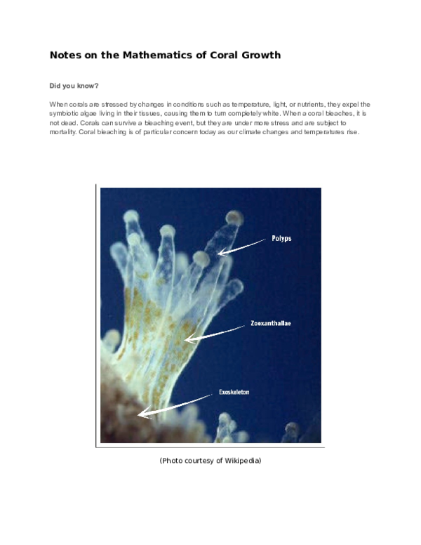 (DOC) Notes on the Mathematics of Coral Growth