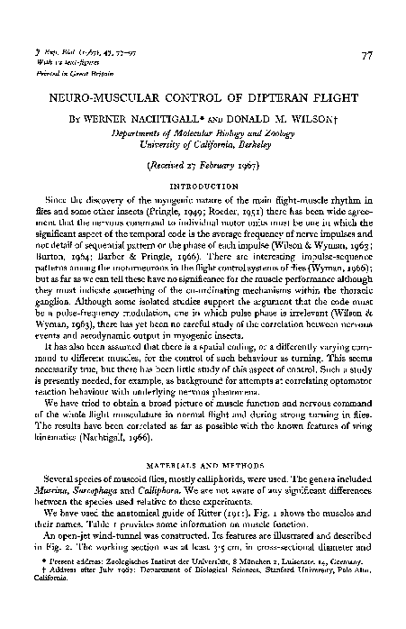(PDF) Neuro-muscular control of dipteran flight