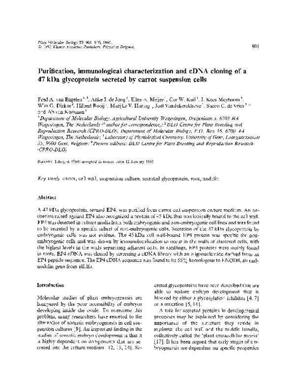 (PDF) Purification, immunological characterization and cDNA cloning of ...
