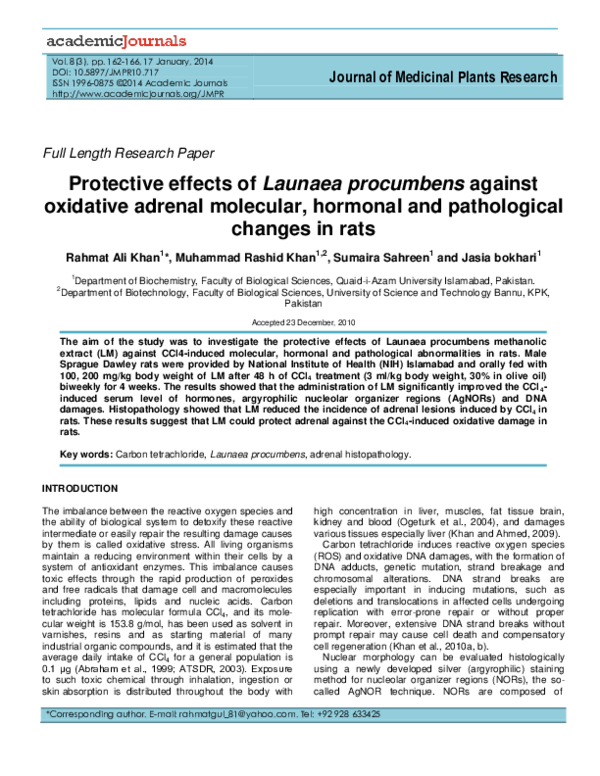 (PDF) Protective effects of Launaea procumbens against oxidative ...