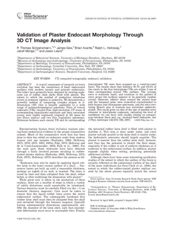 (PDF) Validation of Plaster Endocast Morphology Through 3D CT Image ...