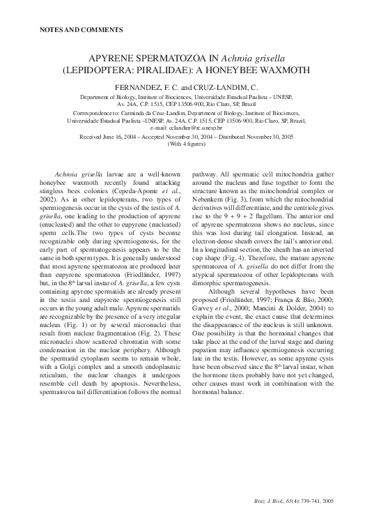 (PDF) Apyrene spermatozoa in Achroia grisella (Lepidoptera: Piralidae ...