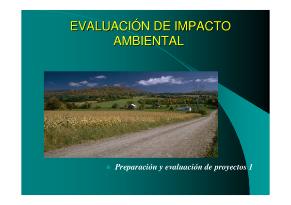 (PDF) EVALUACI EVALUACI Ó Ó N DE IMPACTO N DE IMPACTO AMBIENTAL AMBIENTAL