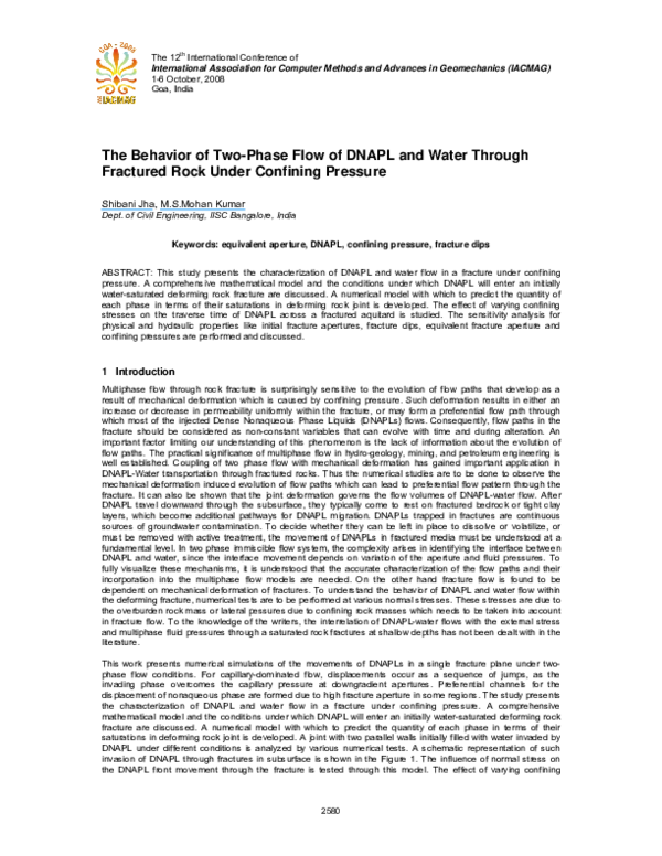 (PDF) The Behavior of Two-Phase Flow of DNAPL and Water Through ...