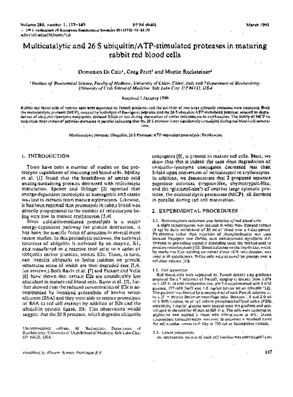 (PDF) Multicatalytic and 26 S ubiquitin/ATP-stimulated proteases in ...