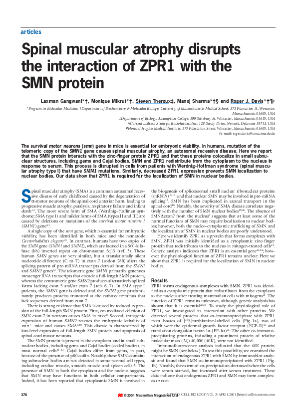 (PDF) Spinal muscular atrophy disrupts the interaction of ZPR1 with the ...