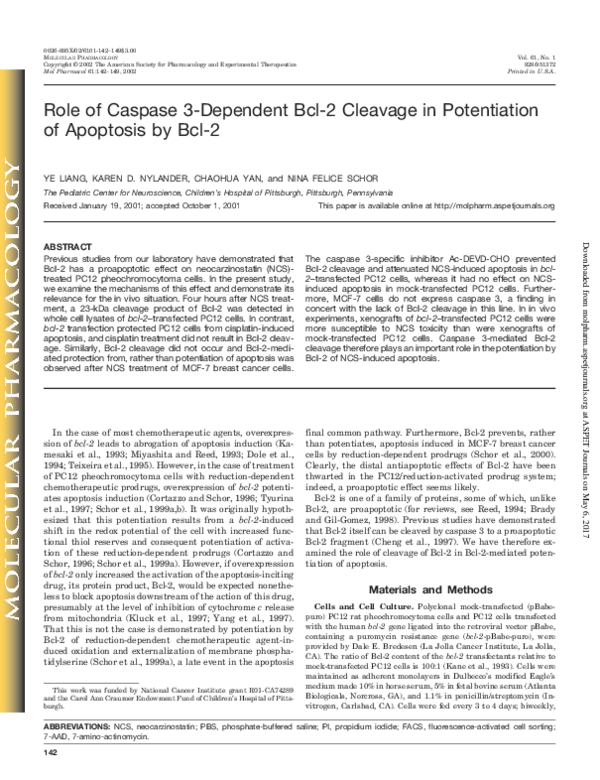 (PDF) Role of caspase 3-dependent Bcl-2 cleavage in potentiation of apoptosis by Bcl-2