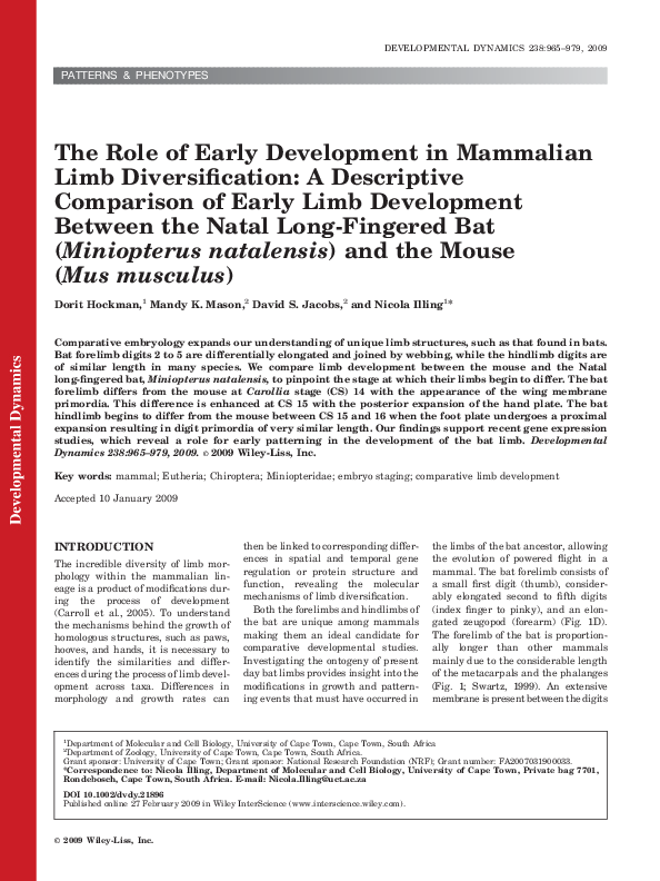 (PDF) The Role of Early Development in Mammalian Limb Diversification ...