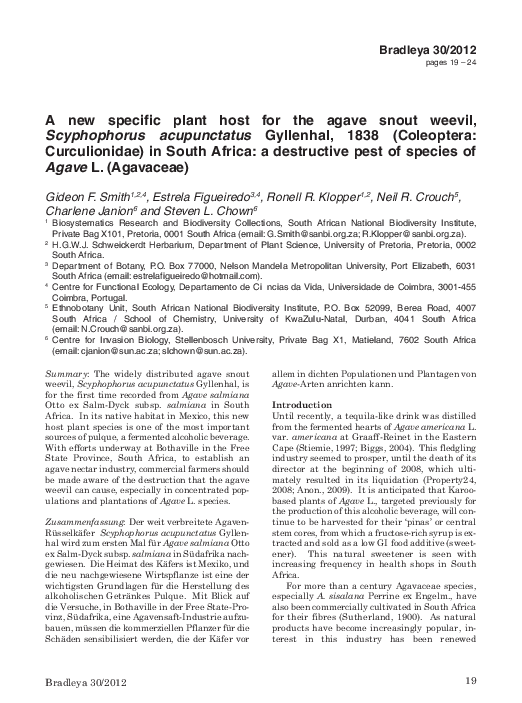 (PDF) A new specific plant host for the agave snout weevil ...