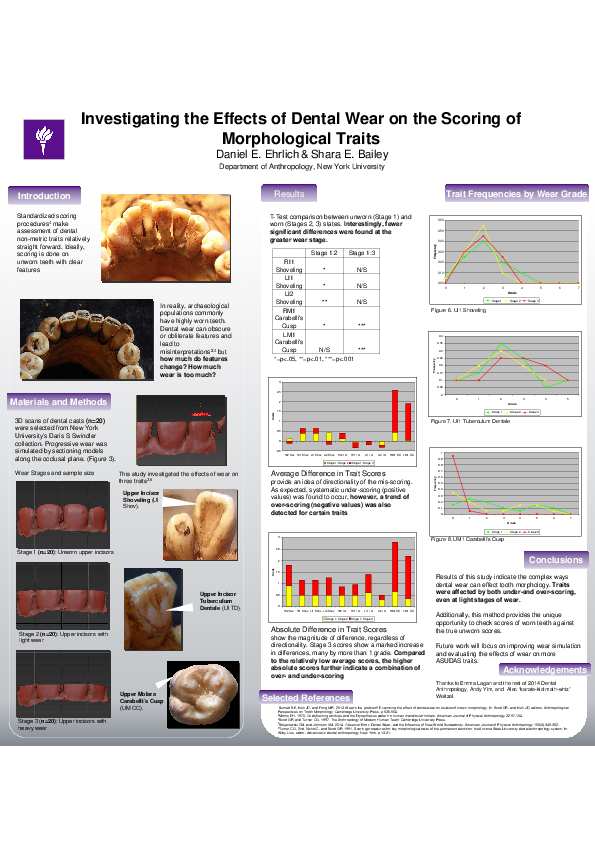Investigating the Effects of Dental Wear on the Scoring of ...