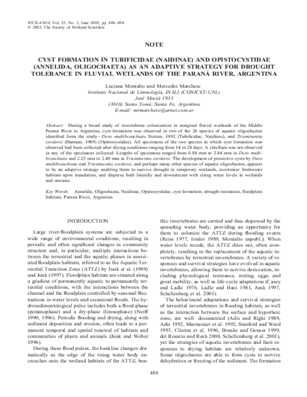 (PDF) Cyst formation in tubificidae (Naidinae) and opistocystidae ...