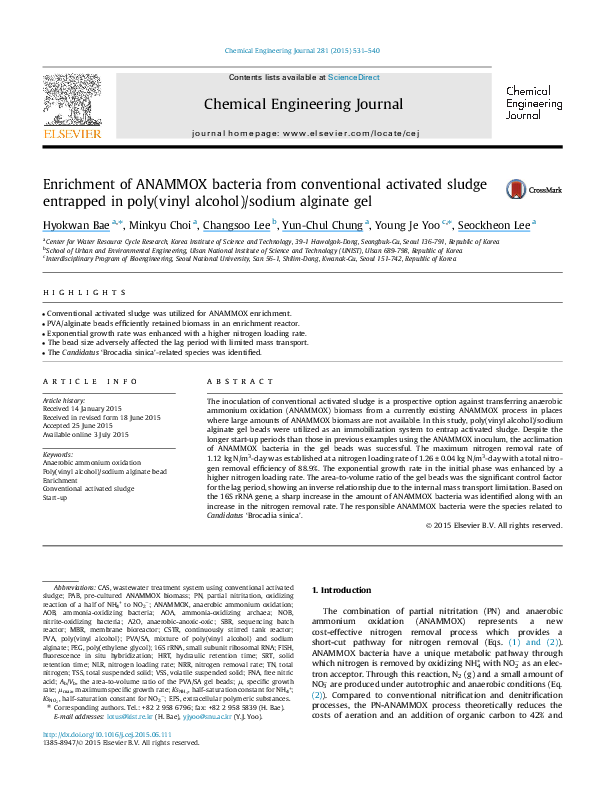 (PDF) Enrichment of ANAMMOX bacteria from conventional activated sludge ...