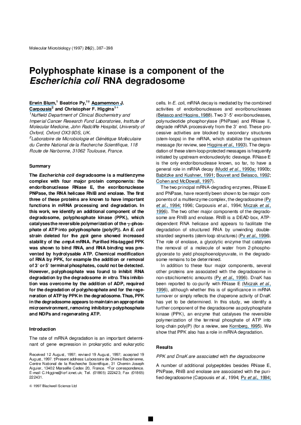(PDF) Polyphosphate kinase is a component of the Escherichia coli RNA ...