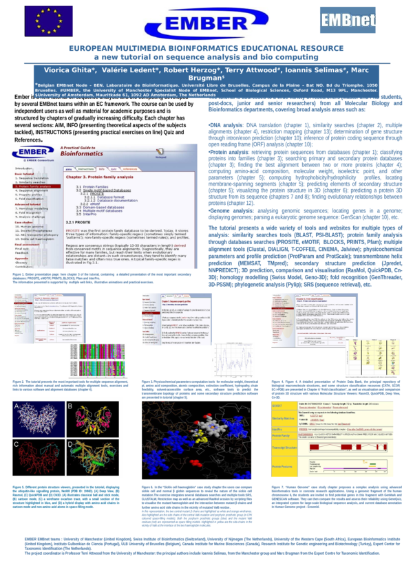 (PPT) EMBERposter.PPT | amna imtiaz ali - Academia.edu