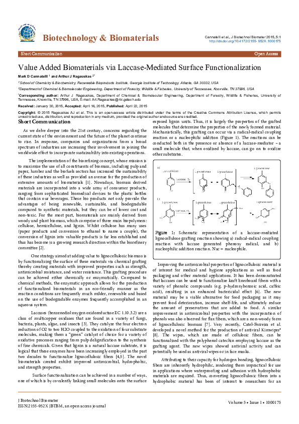 (PDF) Value Added Biomaterials via Laccase-Mediated Surface ...