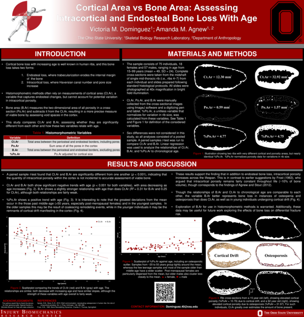 (PDF) Cortical Area vs Bone Area: Assessing Intracortical and Endosteal ...