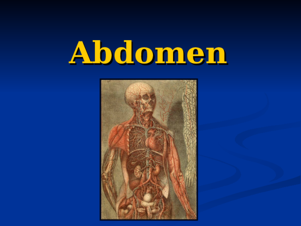 (PPT) Anatomia del abdomen