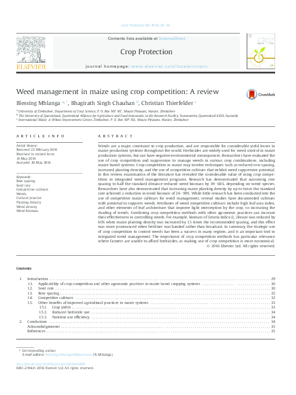 (PDF) Weed management in maize using crop competition: A review