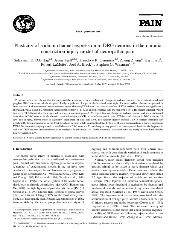 (PDF) Plasticity of sodium channel expression in DRG neurons in the ...