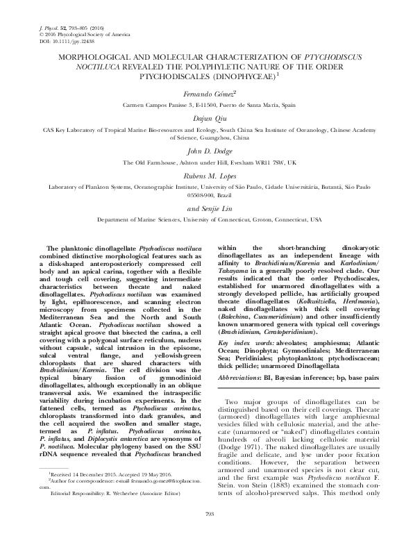 (PDF) MORPHOLOGICAL AND MOLECULAR CHARACTERIZATION OF PTYCHODISCUS ...