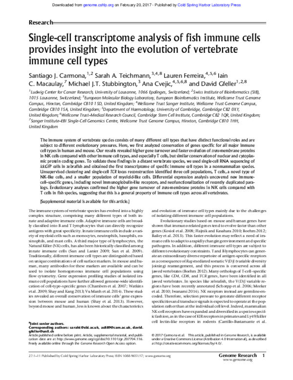 (PDF) Single-cell transcriptome analysis of fish immune cells provides ...