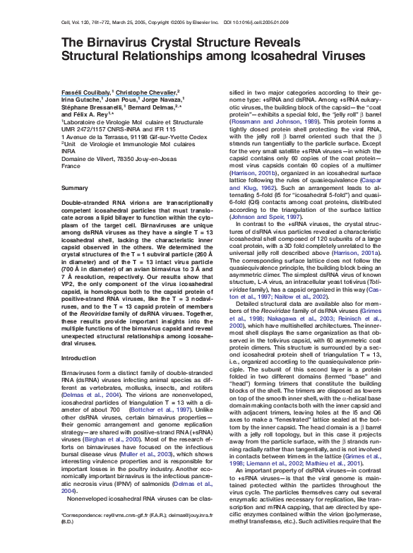 (PDF) The Birnavirus Crystal Structure Reveals Structural Relationships ...
