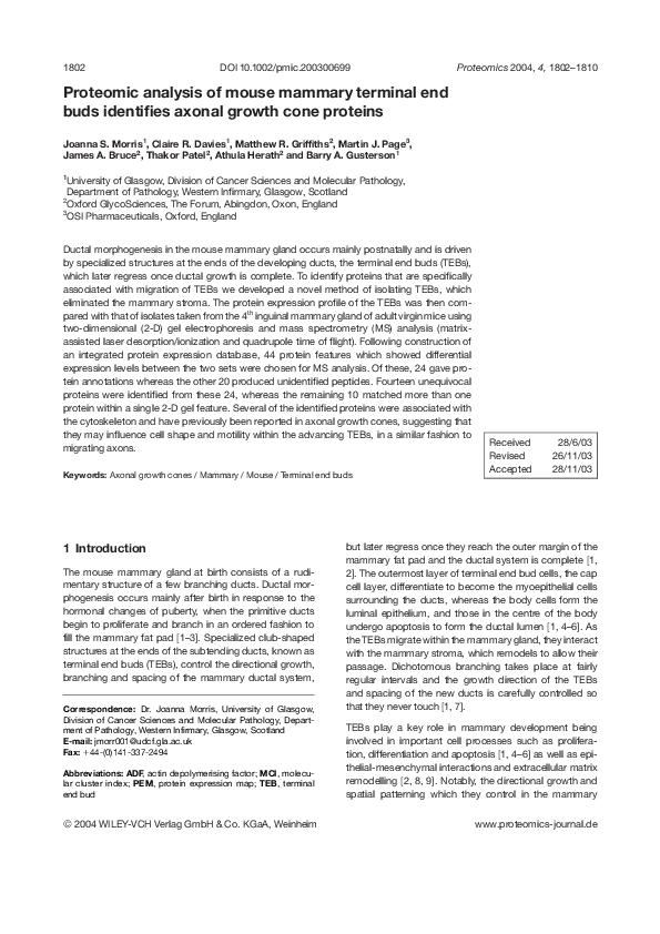 (PDF) Proteomic analysis of mouse mammary terminal end buds identifies ...