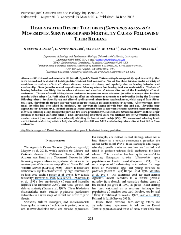 (PDF) Head-Started Desert Tortoises (Gopherus Agassizii): Movements ...