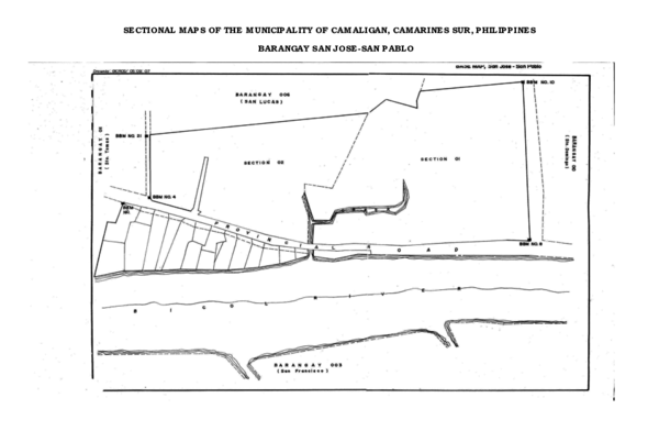 (PDF) SPOT MAPS OF THE MUNICIPALITY OF CAMALIGAN, CAMARINES SUR ...