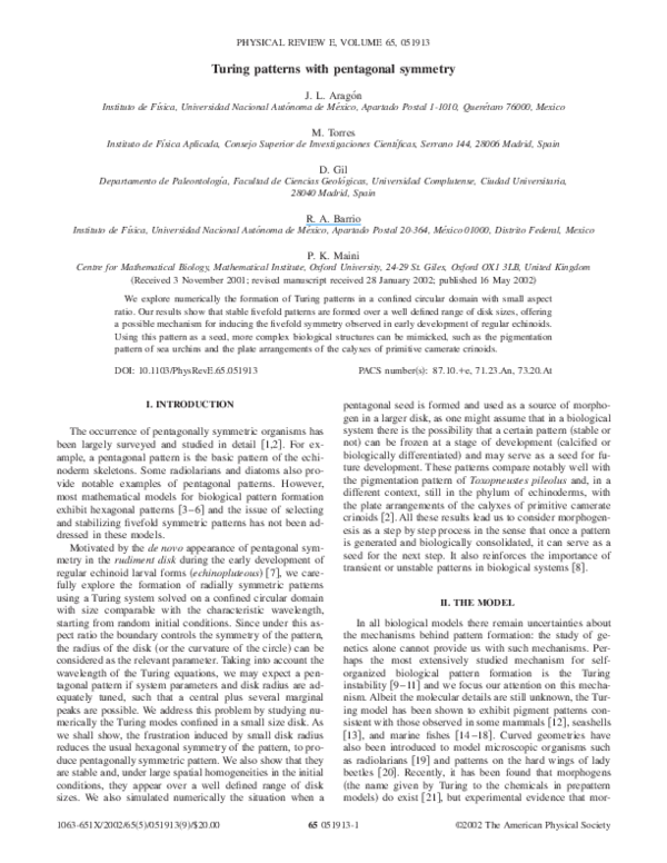 (PDF) Turing patterns with pentagonal symmetry