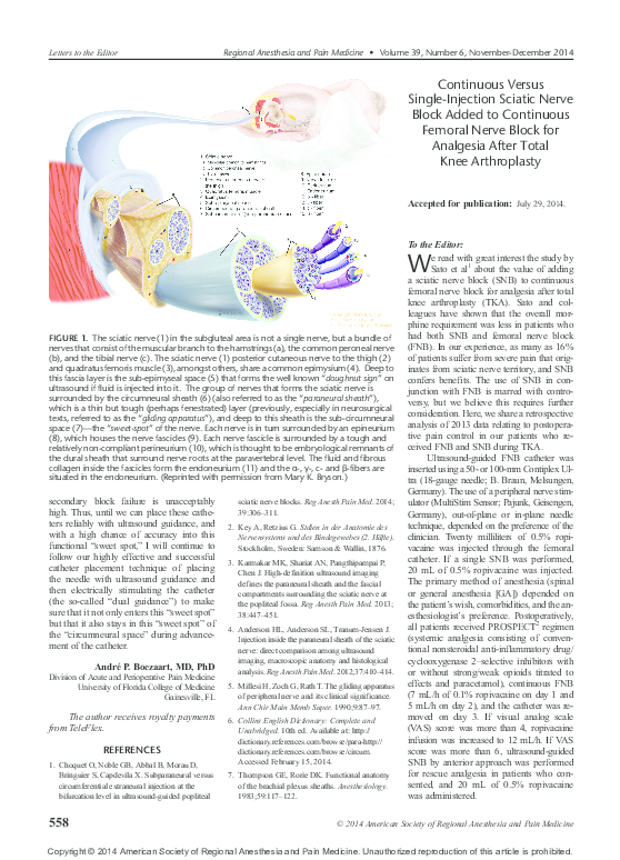 (PDF) Continuous versus single-injection sciatic nerve block added to ...