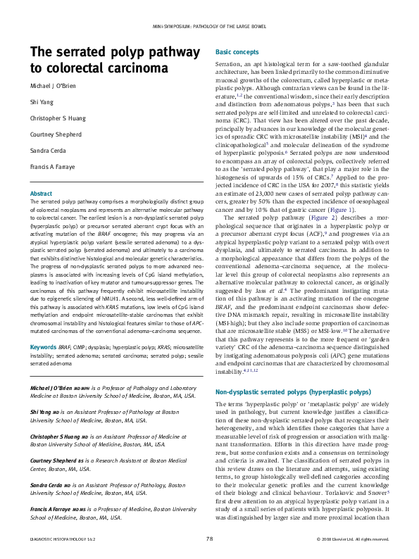 (PDF) The serrated polyp pathway to colorectal carcinoma | Sandra Cerda ...