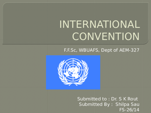 (PPT) INTERNATIONAL CONVENTION.pptx