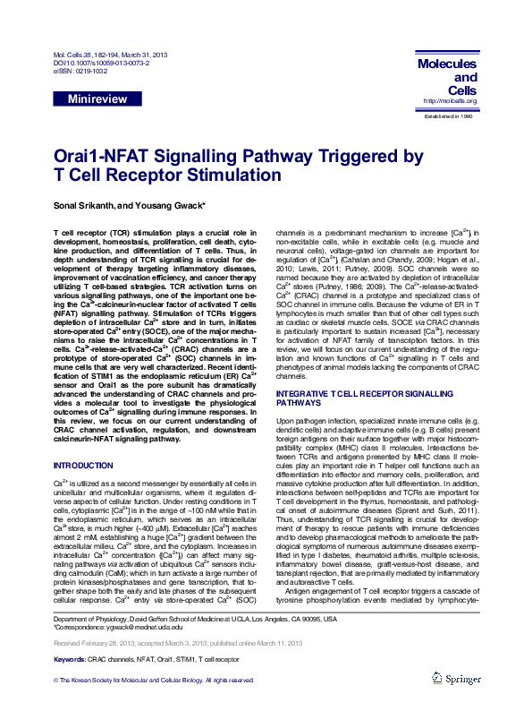 (PDF) Orai1-NFAT signalling pathway triggered by T cell receptor ...