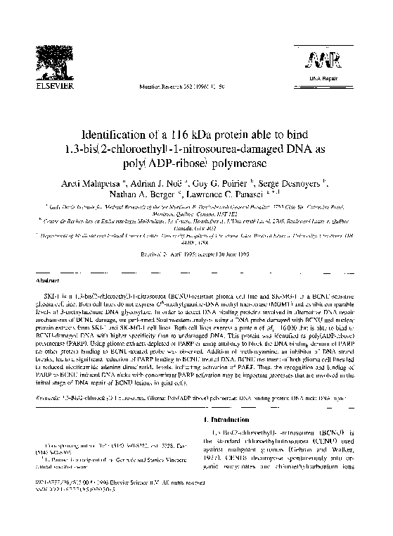 (PDF) Identification of a 116 kDa protein able to bind 1,3-bis(2 ...