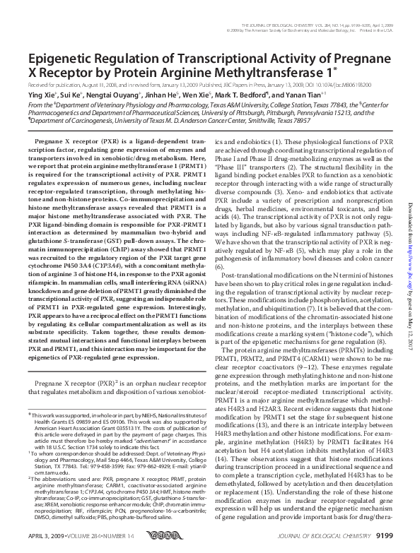 (PDF) Epigenetic Regulation of Transcriptional Activity of Pregnane X ...