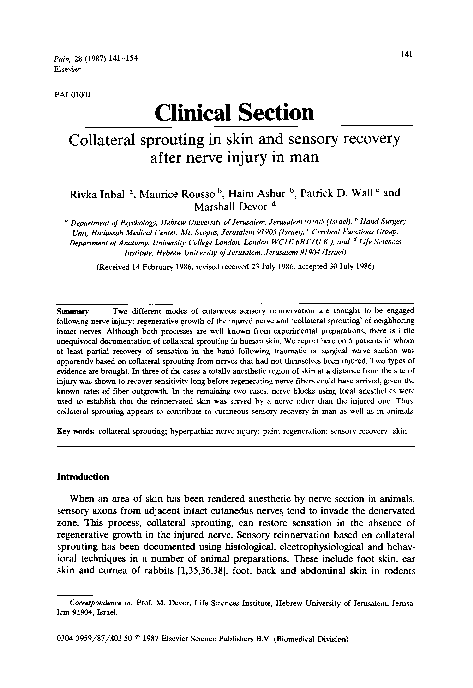 (PDF) Collateral sprouting in skin and sensory recovery after nerve ...