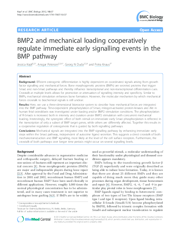 (PDF) BMP2 and mechanical loading cooperatively regulate immediate ...