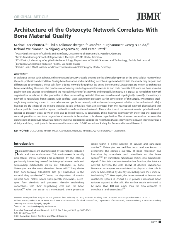 (PDF) Architecture of the osteocyte network correlates with bone ...
