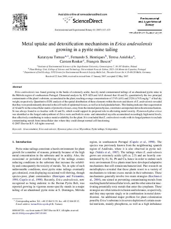 (PDF) Metal uptake and detoxification mechanisms in Erica andevalensis ...