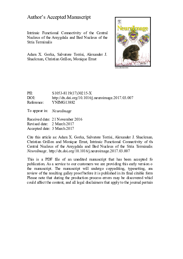 (PDF) Intrinsic Functional Connectivity of the Central Nucleus of the ...