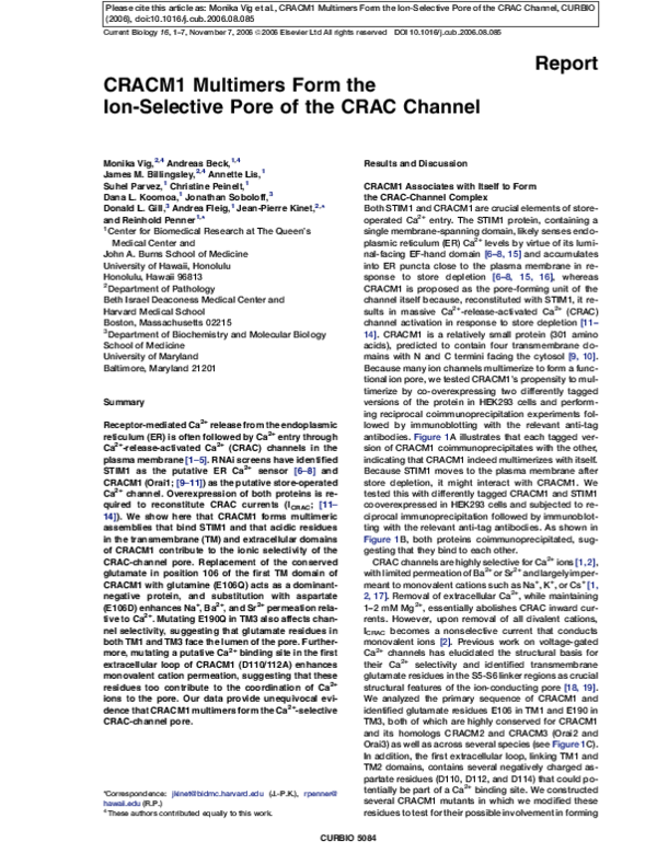 (PDF) Report CRACM1 Multimers Form the IonSelective Pore of the CRAC ...