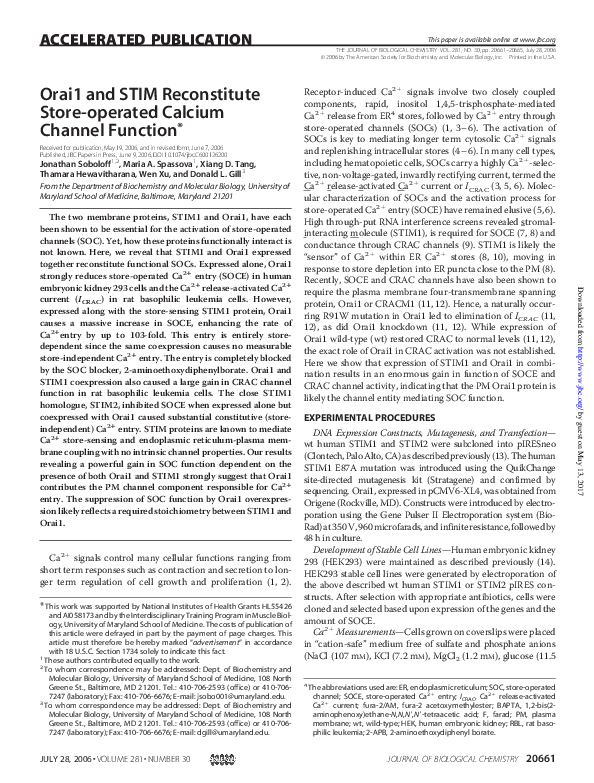 (PDF) Orai1 and STIM Reconstitute Store-operated Calcium Channel Function