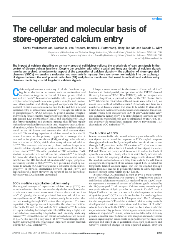 (PDF) The cellular and molecular basis of store-operated calcium entry
