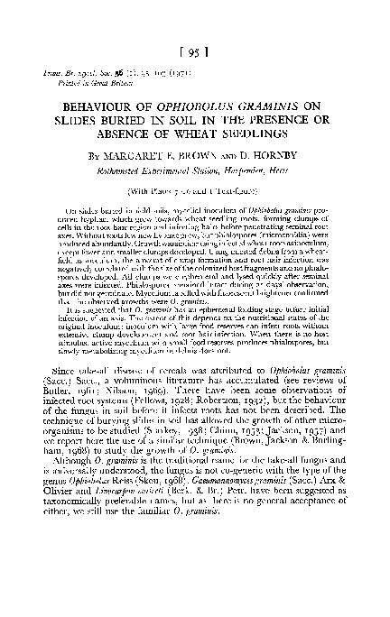 (PDF) Behaviour of Ophiobolus graminis on slides buried in soil in the ...