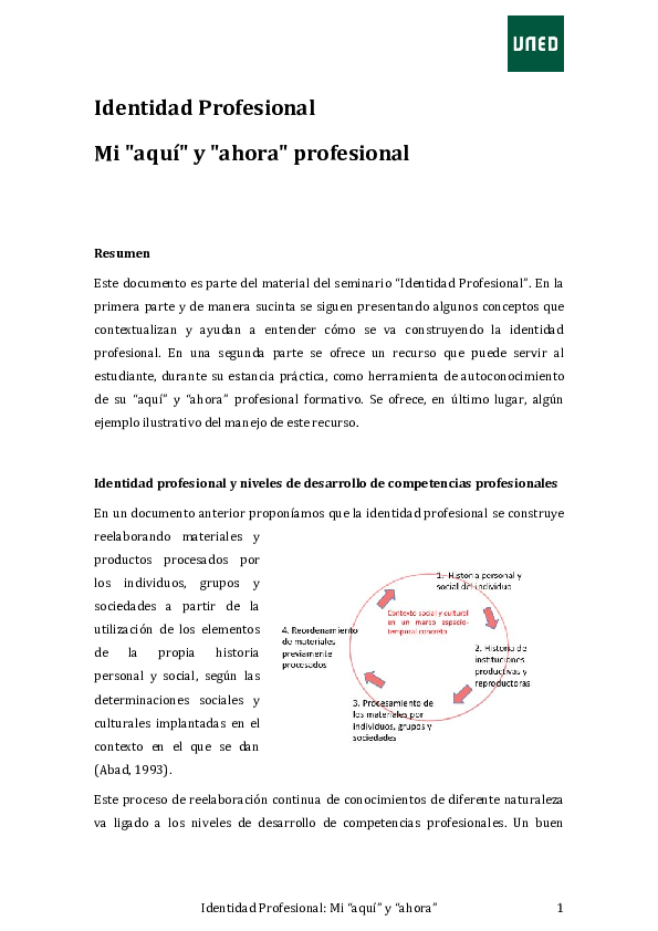(PDF) Identidad Profesional
