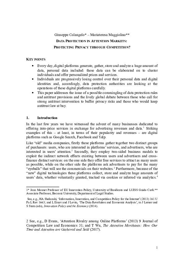 (DOC) Data Protection in Attention Markets: Protecting Privacy through ...