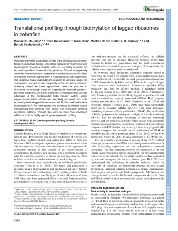 (PDF) Translational profiling through biotinylation of tagged ribosomes ...