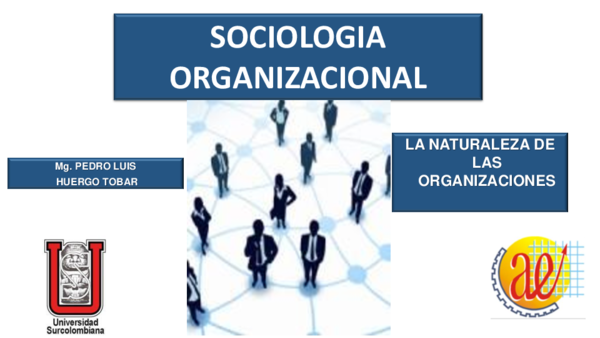 (PDF) SOCIOLOGIA ORGANIZACIONAL