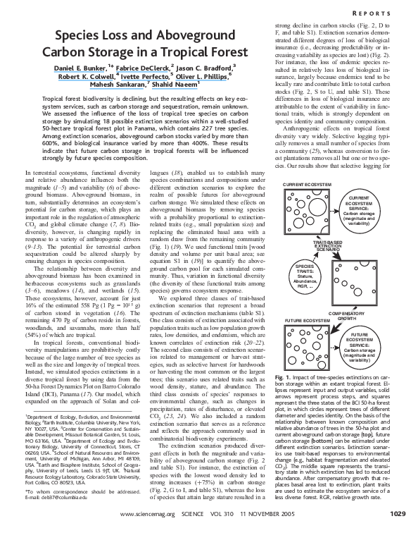 (PDF) Species Loss and Aboveground Carbon Storage in a Tropical Forest